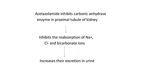 Diuretics Pptx