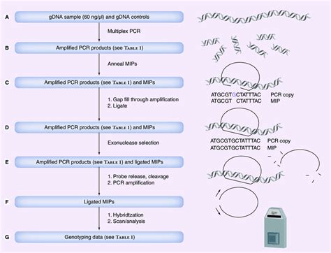 Mode Of Operation For The Dmet Array Data Is Generated By A Download Scientific Diagram