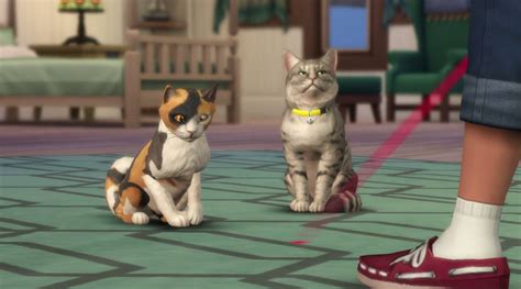 Kny Sims The Sims 4 Gatos E Cães Pacote De Expansão