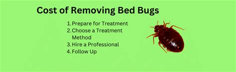 The Cost Of Removing Bed Bugs Secret Agent Pest Control