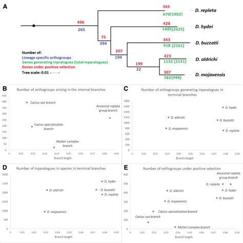 Consensus Phylogenetic Tree Estimated Using Iq Tree With 1802 Genes And Download Scientific