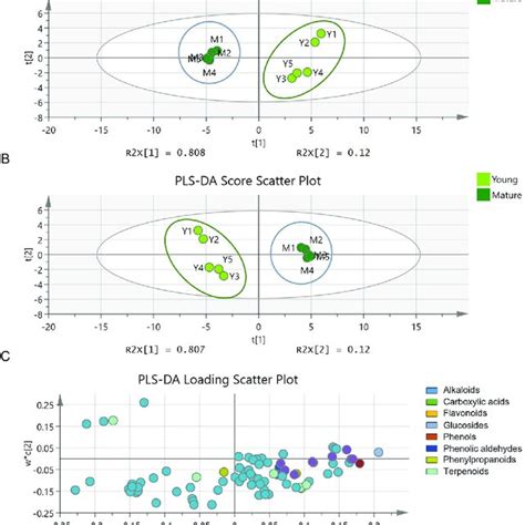 The Representative Base Peak Chromatograms Bpc Of Young A And