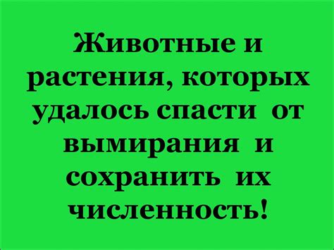 Красная книга Животные и растения которые находятся на грани