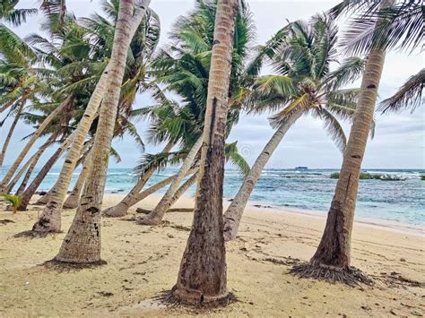 Siargao Island Stock Image Image Of Tropical Siargao 320022471