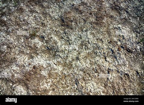Alkali Saline Soil Hi Res Stock Photography And Images Alamy