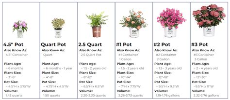 Nursery Container Size Chart