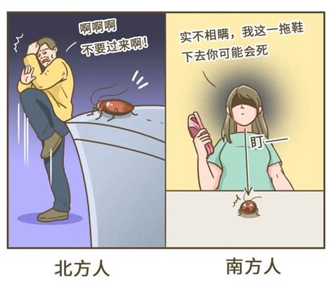 九成人不知道“蟑螂的天敌”是啥？家里放点“它”：蟑螂集体消失了