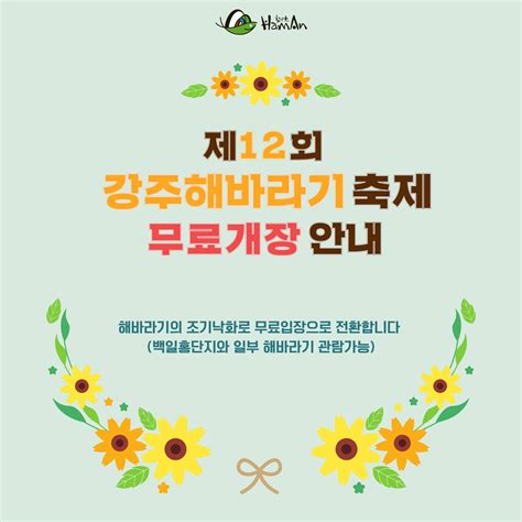 함안군 제12회 강주해바라기축제 무료개장 안내📢 날씨의 변화로 인한 해바라기의 조기낙화로
