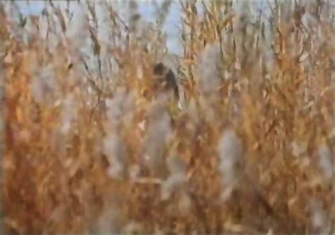 Vintage 1574 Eporner