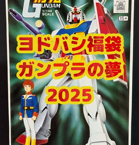 【ガンプラ福袋】ヨドバシcom 2025年 夢のお年玉箱 ≪ガンプラの夢≫ 中身は1st系詰め合わせ！ リーチャ