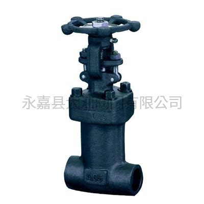 美标闸阀 大江阀门有限公司