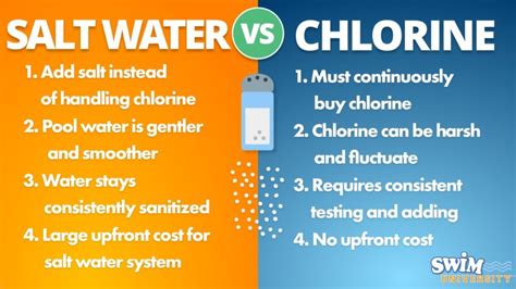 Salt Water Pool Vs Chlorine Pool Which One Is Better