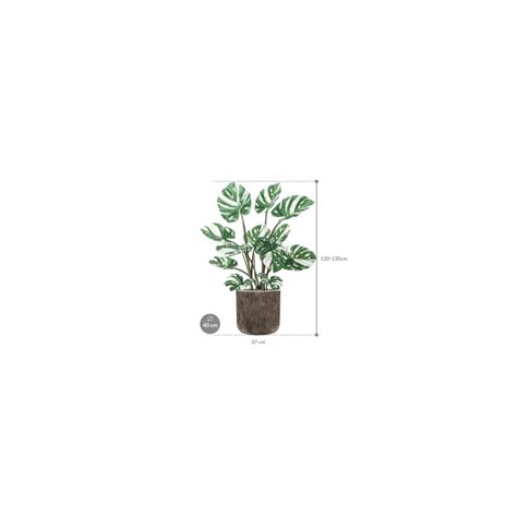 Monstera Deliciosa Bush Luxe Lite Universe Waterfall Cilinder Kunstplant Eenvoudig En Snel