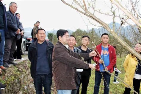 开阳县毛云乡：进行蜂糖李种植田间培训农户苗木村民