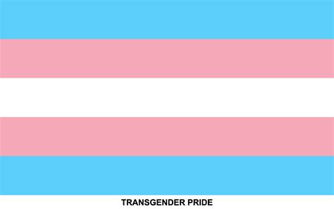 Flag Of Transgender Pride Transgender Pride Flag 45960595 Vector Art At Vecteezy