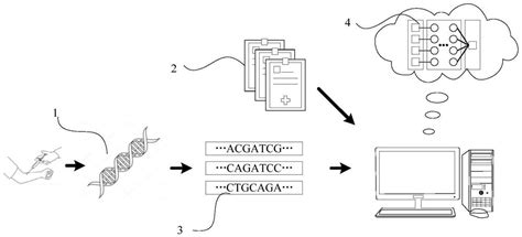 Pulmonary Nodule Classification Model Training Method Eureka Patsnap