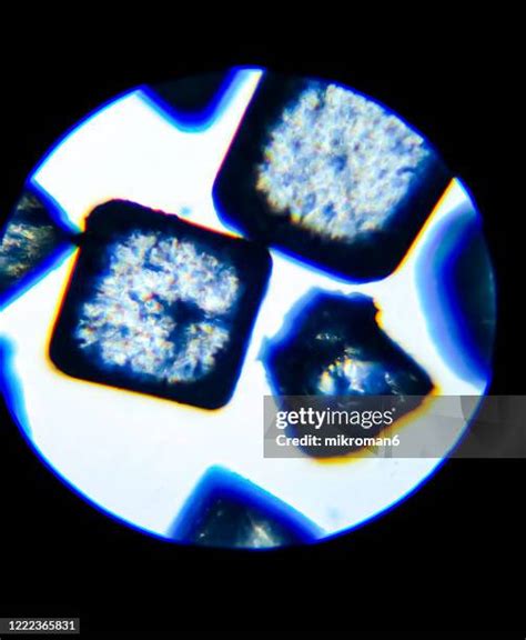 Salt Under Microscope Photos And Premium High Res Pictures Getty Images
