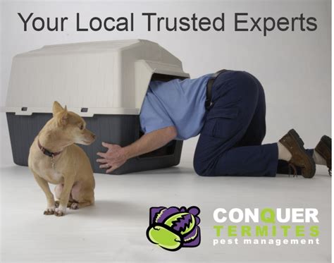 Home Conquer Termites Brisbanes Inspection Detection And Treatment