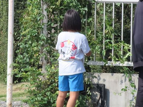 登下校みまもり隊12 2262lab