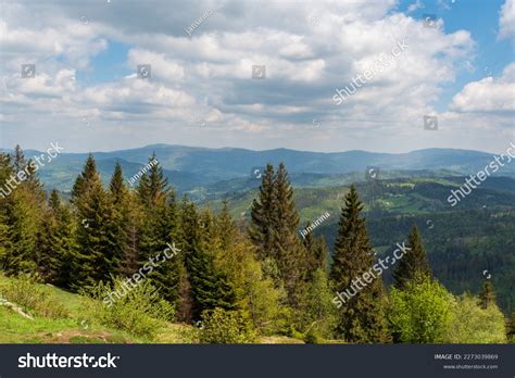 27 Imágenes De Stozek Imágenes Fotos Y Vectores De Stock Shutterstock