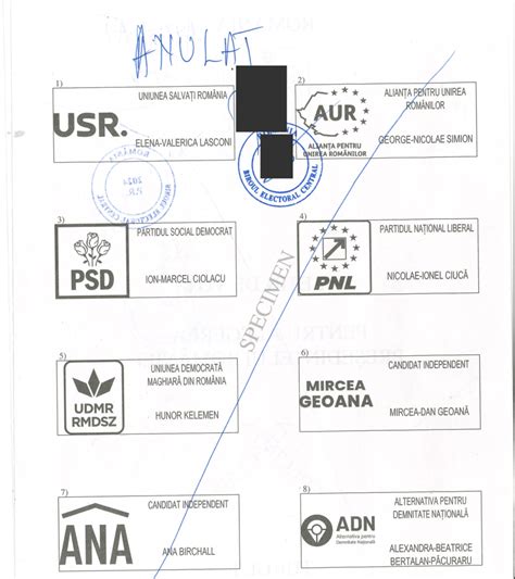 Alegeri Prezidențiale 2024 Cum Arată Buletinele De Vot și Care E