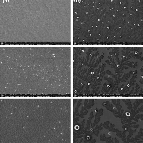 Uv Reflectance Data Obtained From Tpx Polymer Films Samples Compression