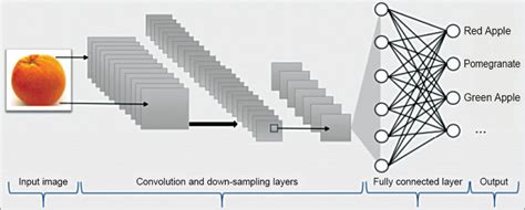 Fruit Classification And Detection Using Deep Convolutional Neural Network