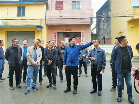 周日不休息，为了这事黎沛荣深入那吉镇澎湃号·政务澎湃新闻 The Paper