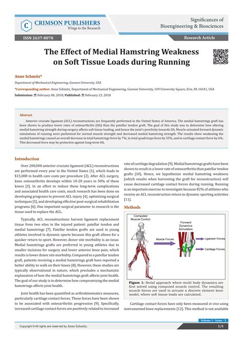 Crimson Publishers The Effect Of Medial Hamstring Weakness On Soft