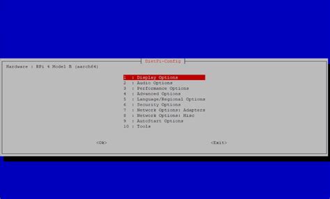 4 Best Raspberry Pi Server Distros