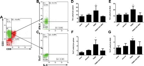 Uc Mscs Alter T Helper Cell Subgroups In Colitis Mice Populations Of Download Scientific