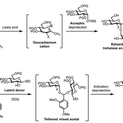 One Step Tret Catalyzed Synthesis Of Trehalose Analogues 9 24 Yields