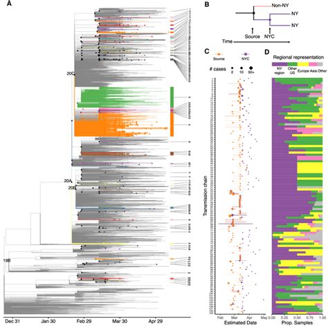 Timescaled Phylogeny Showing Global Sequence Context A Colored Edges Download Scientific