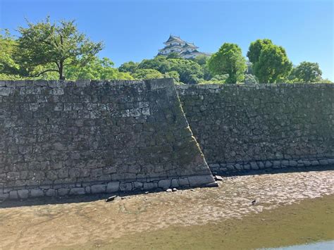 池の水ぜんぶ抜く大作戦 Noriのブログ