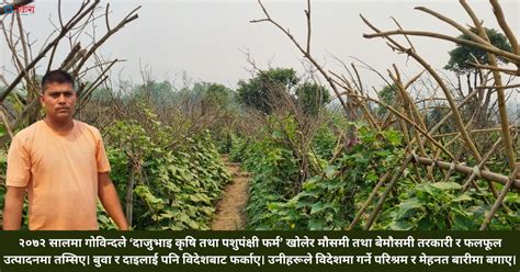 मलेसियाको फर्निचर र तेल कम्पनी छोडेर सुर्खेतको खेतमा रमेका वली परिवार