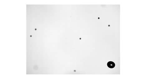 High Speed Imaging Particle Sizing Spraying Systems Co