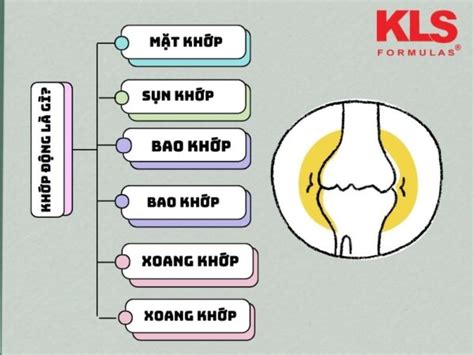 Hiểu Về Xương Khớp Và Cách Bảo Vệ Xương Khớp Hiệu Quả Công Ty Tnhh