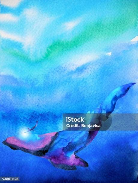 인간과 고래 다이빙 수영 수 중 함께 수채화 그림 손으로 그린 그림 고래에 대한 스톡 벡터 아트 및 기타 이미지 고래 그리기 그림 그리기 Istock