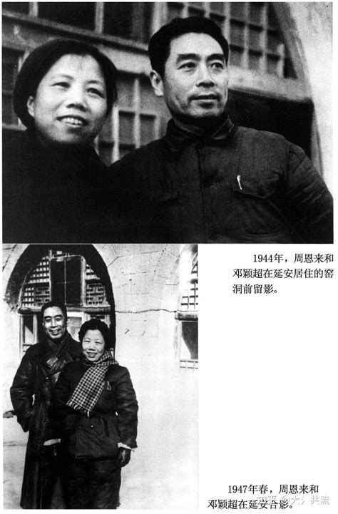 从西花厅海棠花忆起 知乎