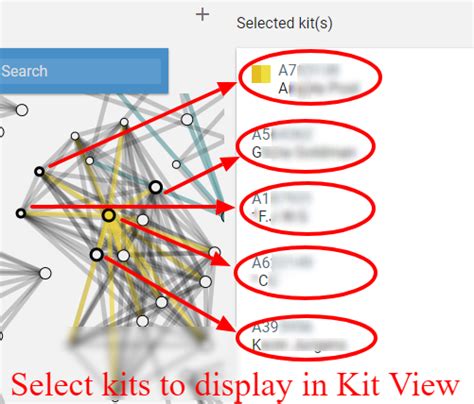 Triangulation Features Rootsfinder Support