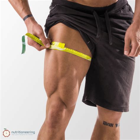 Survey Reveals Average Thigh Circumference For Male And Female