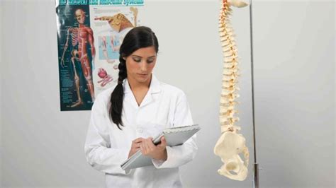 A Useful Guide To Choosing The Best Chiropractor Singapore