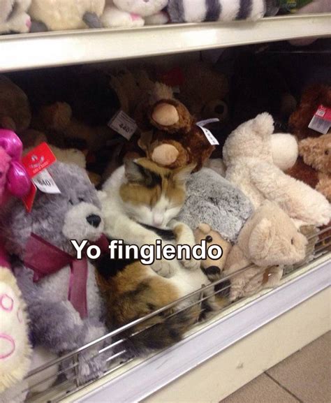 Lo Intento Pero No Lo Estoy Logrando 😔