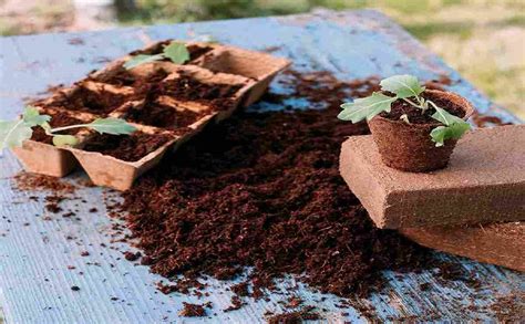 Buy Coco Peat Block Best Price Gardening And Plant Growth