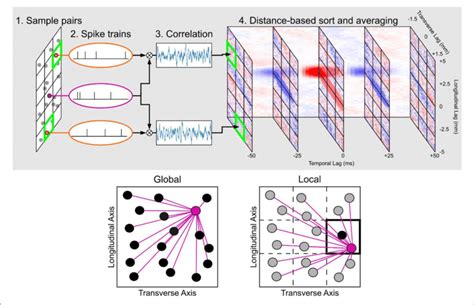 Summary Of The Construction Of The Space Time Correlation Maps Top
