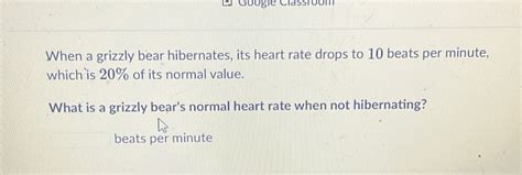 Solved Googie Classroom When A Grizzly Bear Hibernates Its Heart Rate