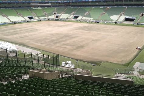 Troca De Gramado Do Estádio Do Palmeiras Avança E Imagem Vaza Entenda