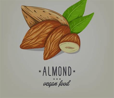 حلويات اللموند Almond Casablanca