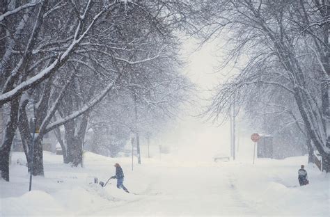 Blizzard Marya Cornelius