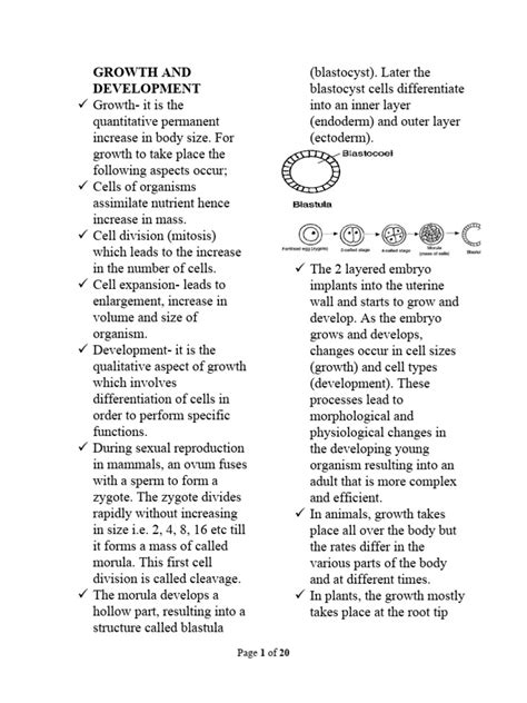Growth And Development Notes Pdf Seed Pupa